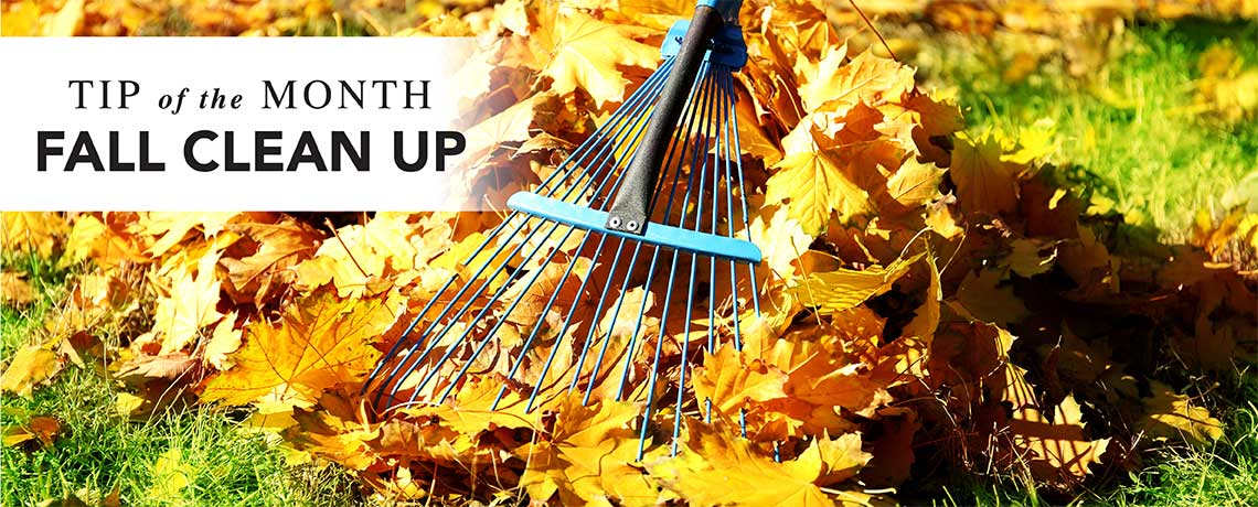 Fall Yardwork Tips | Seasonal Physical Therapy | Regain PT Pittsford NY